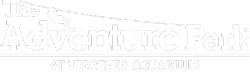 virginia-beach-adventure-park-logo | The Vacation Channel